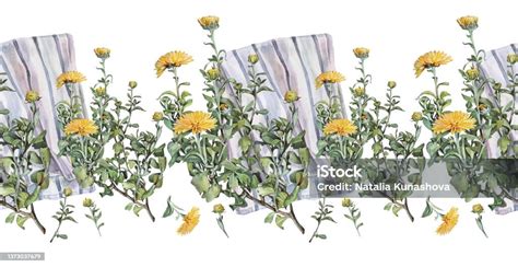 녹색 잎과 흰색 배경에 파란색 수건과 원활한 국경 수채화 노란색 국화 축하꽃과 싹 빈티지 손으로 그린 가지 벽지 포장을위한 자연 예술 0명에 대한 스톡 벡터 아트 및 기타