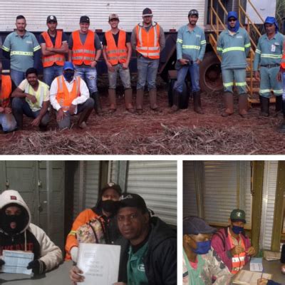 Alcoolvale líderes da colheita mecanizada realizaram DDS e treinamentos Cana Online