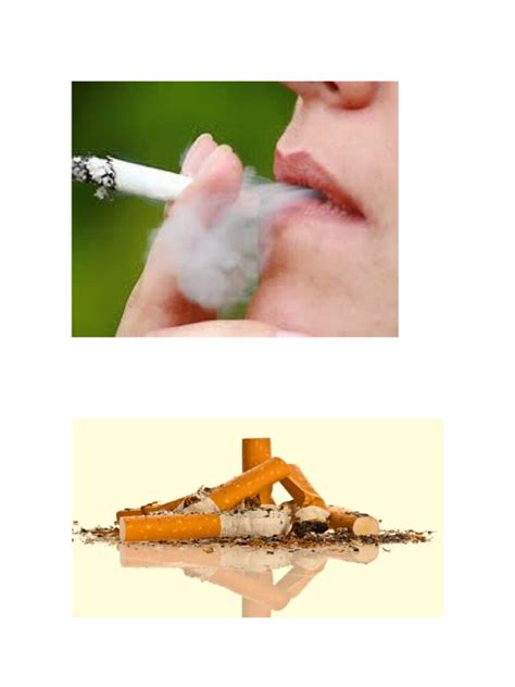 Tabaco Pdf