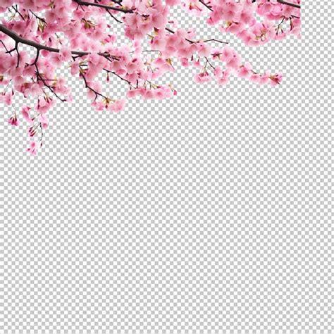 Spring And Summer Flowers Model Advertsing Premium Psd