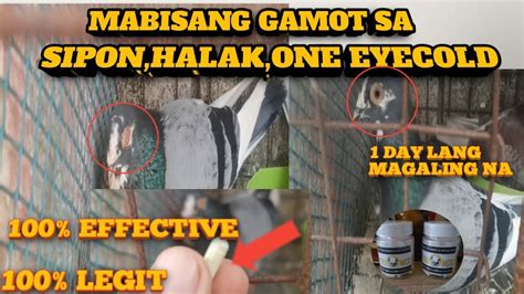 Napaka Effective Na Gamot Lalo Na Sa Sipon Halak At One Eye Cold 100