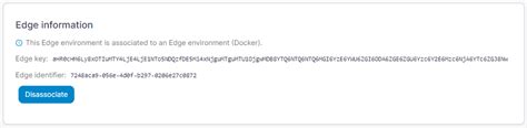 updating the edge agent portainer documentation