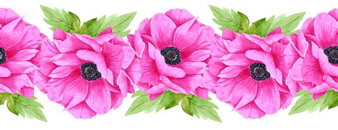 핑크 말미잘 꽃 손으로 그린 수채화 매끄러운 하숙인 흰색 배경에 격리 섬유 직물 포장지에 사용할 수 있습니다 0명에 대한 스톡 벡터 아트 및 기타 이미지 Istock