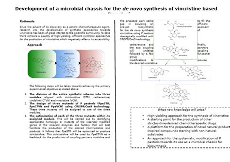 Vincristine Biosynthesis Pdf Biosynthesis Natural Products