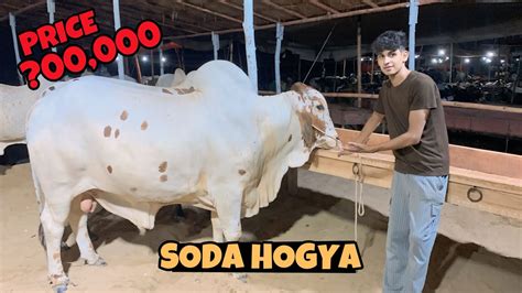 Naseeb Ka Soda Hogaya 😍😱 Mandi Vlog Youtube