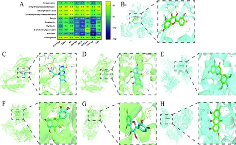 Molecular Docking Analysis A Heatmap Of The Binding Energies B