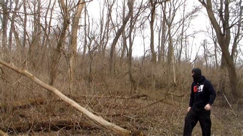 Tmnt 2014 Will Fall Like This Tree Rant Youtube