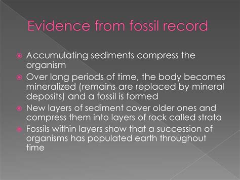 Theories Of Evolution Ppt Download