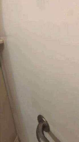 Dildo Dildo On A Wall GIF Dildo Dildo On A Wall Suction Cup Shower Wall Discover Share GIFs