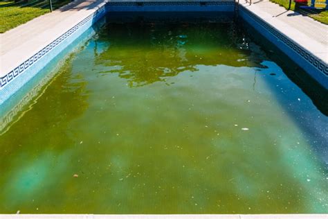 Tips On How To Prevent And Deal With Algae Growth In A Swimming Pool