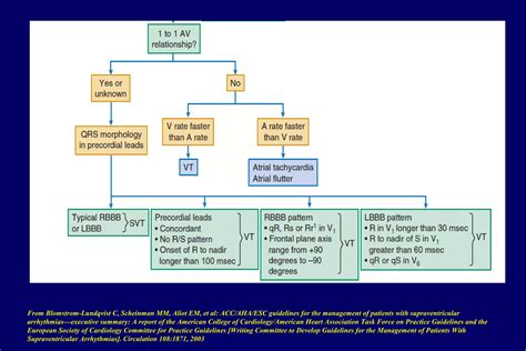 Vt Vs Svt Ab Copy Ppt