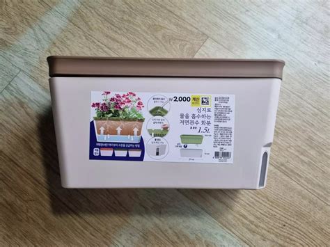 베란다 부추 키우기 1번째 이야기 페트병 화분 다이소 저면관수 화분 부추 물 주기 부추 효능