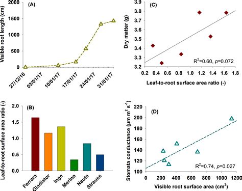 RGB And Spectral Root Imaging For Plant Phenotyping And Physiological Research Experimental