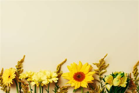 베이지색 배경에서 다양 한 아름 다운 꽃 배열 가진 플랫 누워 0명에 대한 스톡 사진 및 기타 이미지 0명 가을 거베라
