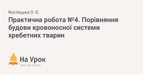 Практична робота №4 Порівняння будови кровоносної системи хребетних тварин