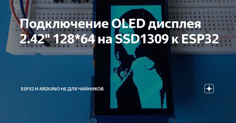 Подключение Oled дисплея 242 12864 на Ssd1309 к Esp32 Электроника