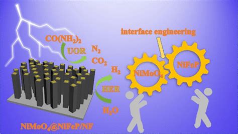 Inorganic Chemistry Vol 62 No 12