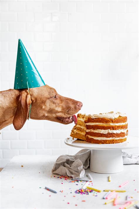 Puppies Eating Ice Cream Cake