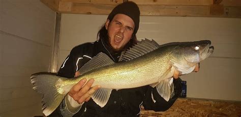 Best Ice Fishing Lures For Walleye In Manitoba If You Aint Fishin