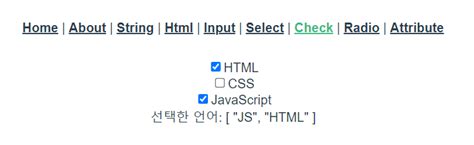 Vue V Model을 이용한 Select And Checkbox And Radio 데이터 바인딩