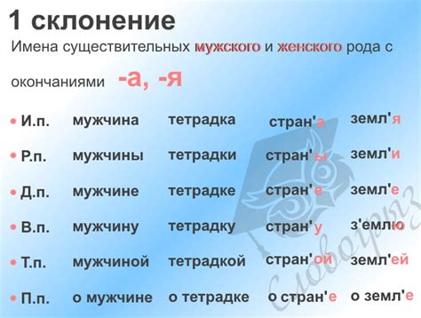 Склонение существительных по падежам онлайн