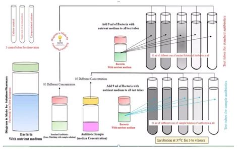 Microbiological Assay Of Antibiotics Pptx