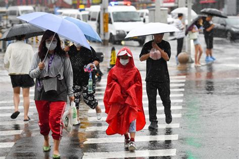 北京：227条公交线路受降雨影响采取停驶等措施 新华网客户端
