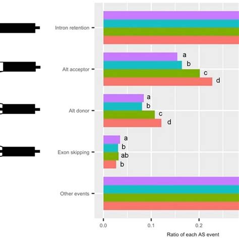 Distribution Of Various Alternative Splicing Events Ase In The Download Scientific Diagram