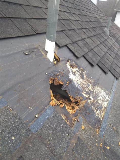 7 Signs You Need A Roof Repair Forms Of Damage And Inspections