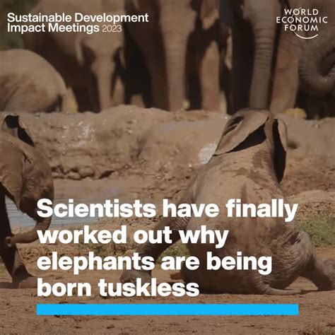 Video Dr Akshay S Bhat Posted On Linkedin