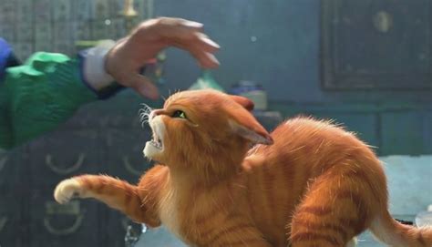 Pin De Алурит Вирлирион En Кот в сапогах Gato Con Botas Animales