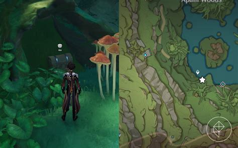 Genshin Impact Guide Aranyaka Mysterious Clipboard Chest Locations