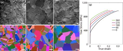 The Torsion Induced Gradient Structure In 304 Steel Af Sem Images Download Scientific