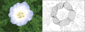 Using Inkscape Effects Wisely Archive Magazine Home Ubuntu User