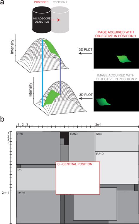 Figure 1 From Vignetting And Photo Bleaching Correction In Automated