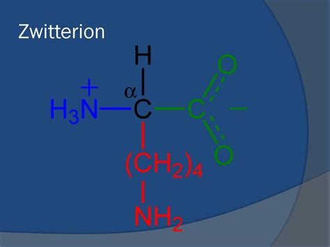 Proteins Ppt Download