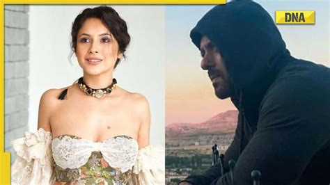Shehnaaz Gill Replaced In Salman Khans Kabhi Eid Kabhi Diwali Know Here