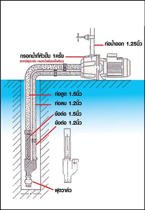 ฟุตวาล์ว ทองเหลือง 2 1 2นิ้ว เกลียวใน Foot Valve ลิ้นสปริง หัวกระโหลก