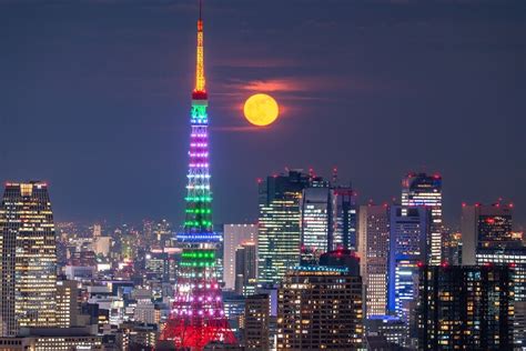 東京の夜遊びスポット 7選 Wa
