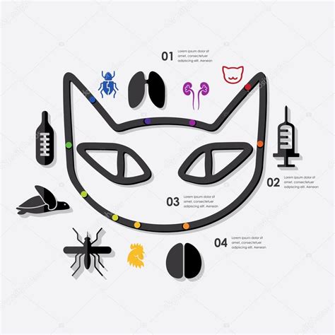 Veterinary Infographic Stock Vector Image By ©palau83 55530913