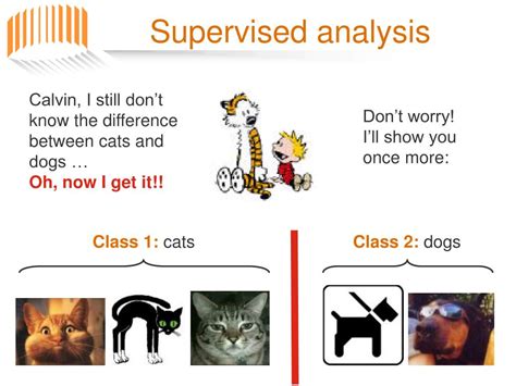 Ppt Microarray Analysis Powerpoint Presentation Free Download