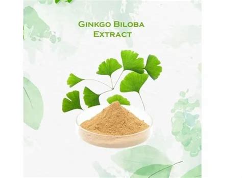 Ginkgo Biloba Herbal Extract Powder Packaging Type Packet Packaging