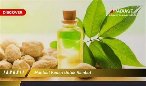 Temukan 7 Manfaat Kemiri Untuk Rambut Yang Bikin Kamu Penasaran Discover
