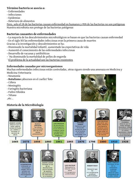 Solution Introducción A La Bacteriología Características Estructuras