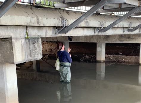 From Hobart To London To Dhaka Using Cameras And Ai To Build An Automatic Litter Detection