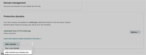 Assign A Domain To Your Site Or App Netlify Docs