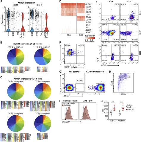 Inhibitory CD161 Receptor Identified In Glioma Infiltrating T Cells By