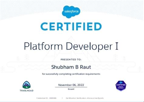 shubham raut on linkedin salesforce developer