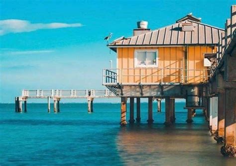 Best Fishing Spots In Tampa Salty Knots Fishing Fishing Charter