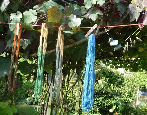 Wool Tribulations Of Hand Spinning And Herbal Dyeing Overdyeing With